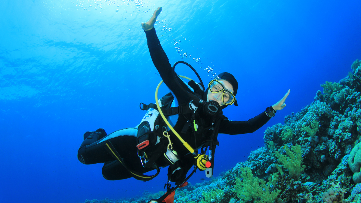 Maldives Dive Packages | South Ari Atoll Diving Tours | Dive Shop Maldives